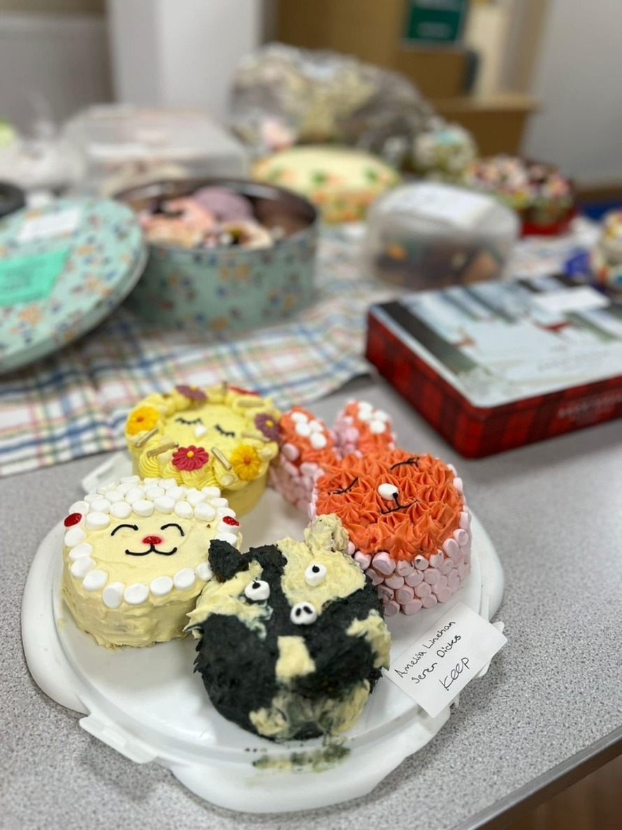 King's Academy Ringmer - Profile (2023)