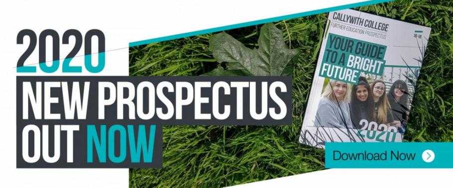 Callywith College - Profile (2023)