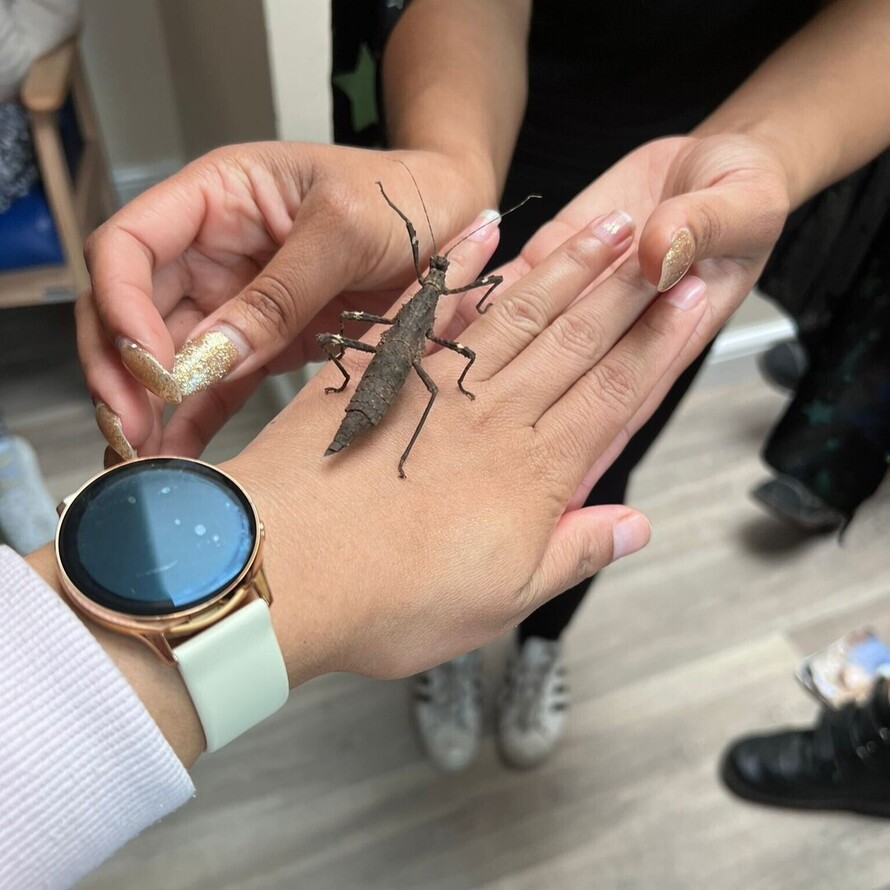 Royal Mencap Society - Profile (2023)