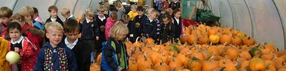 Wilden All Saints CofE Primary School - Profile (2024)