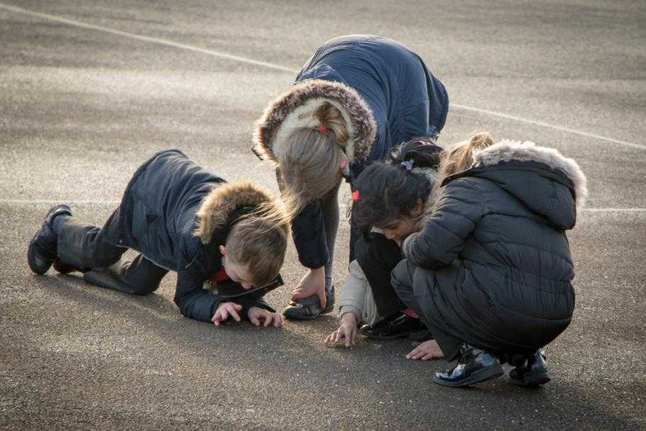 Broadfield Academy - Profile (2023)