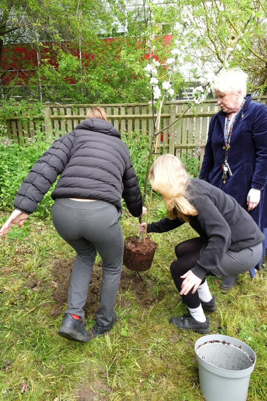 Patchway Community School - Profile (2024)