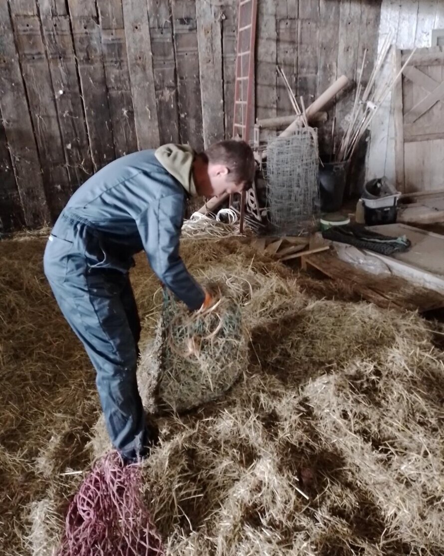 Employ My Ability (EMA) Ltd - Profile (2023)