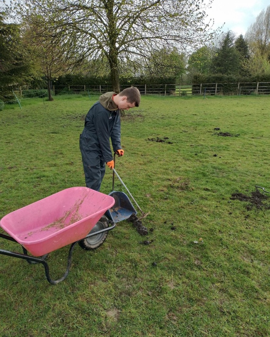 Employ My Ability (EMA) Ltd - Profile (2023)