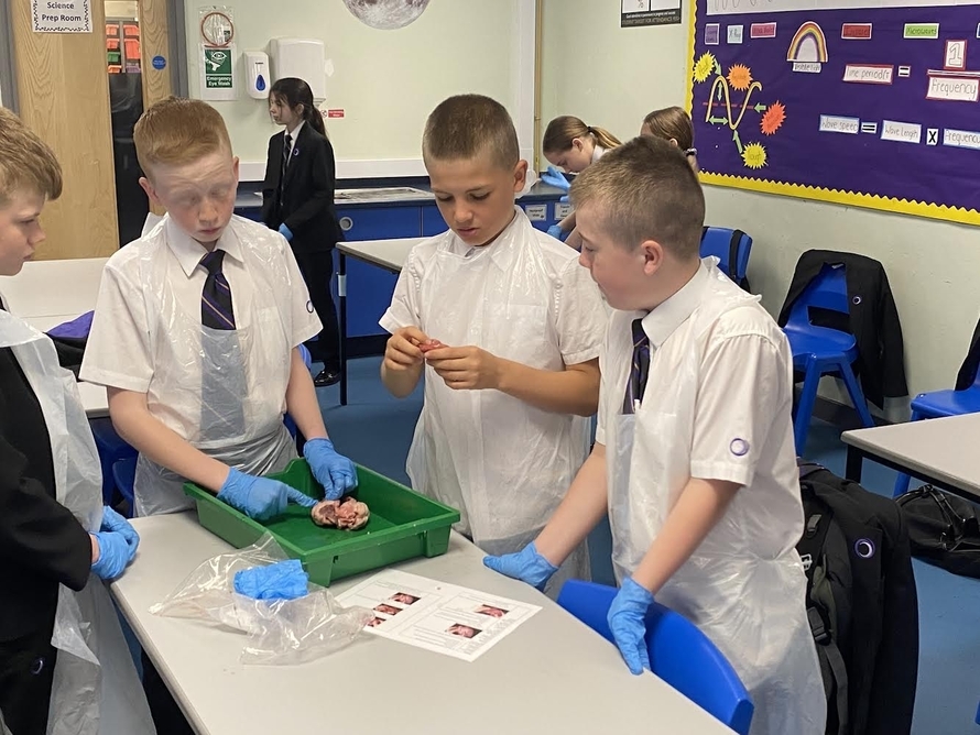 Outwood Academy Redcar - Profile (2024)