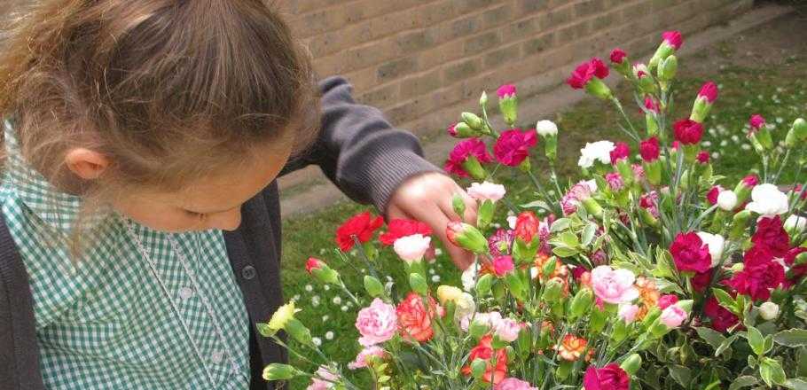 Yatton Church of England Junior School - Profile (2023)