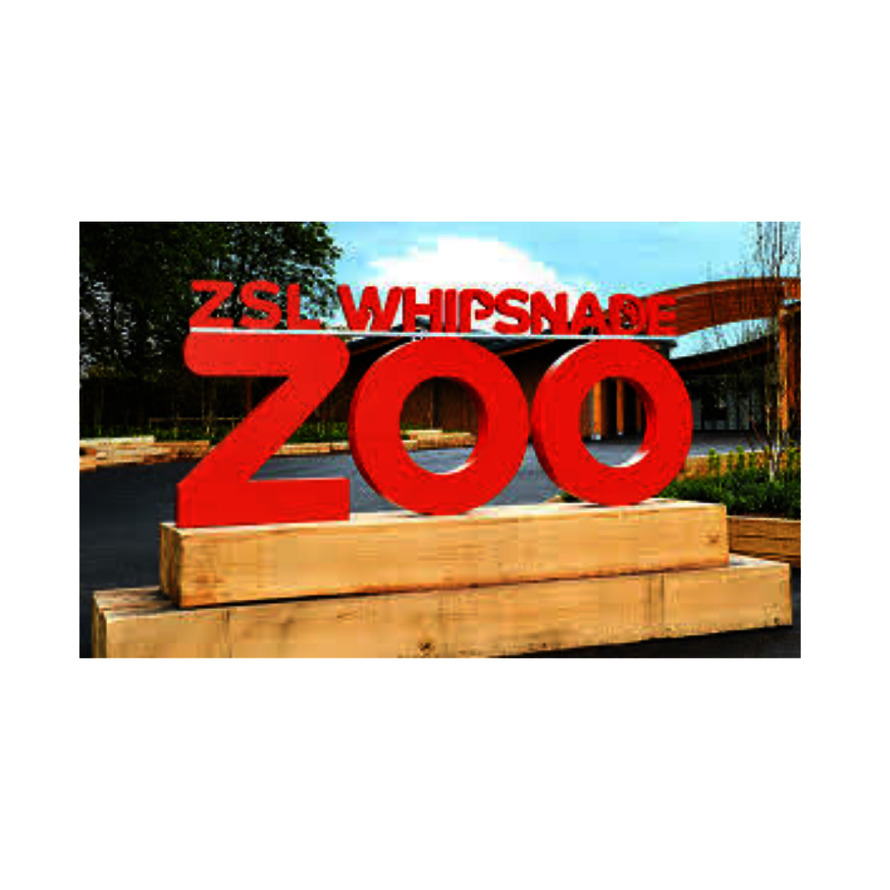 Beechfield School - Profile (2023)