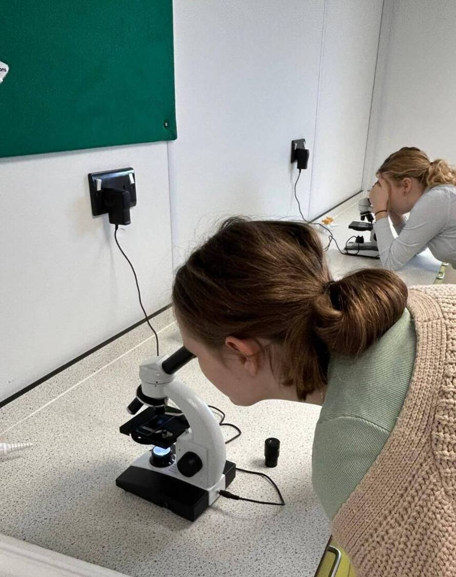 The Green Room School Kingsley - Profile (2024)