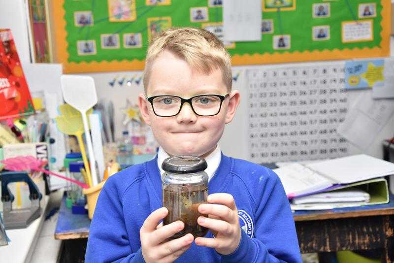 Longford Primary Academy - Profile (2024)