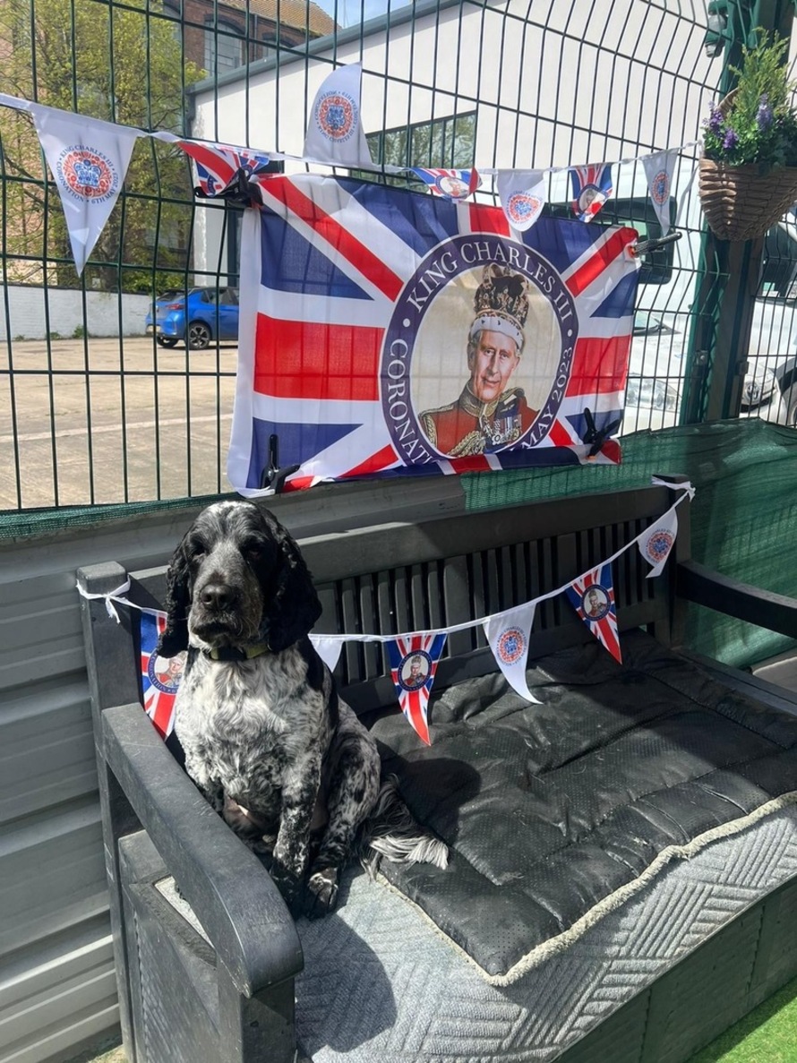 Blessed Robert Sutton Catholic Voluntary Academy - Profile (2023)