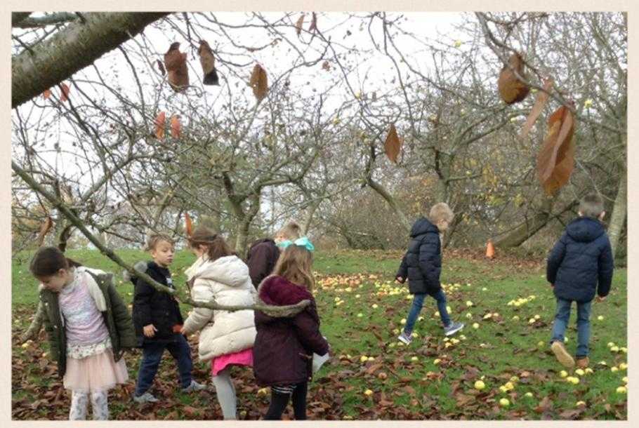 Best Schools in Lytchett Matravers (2024)