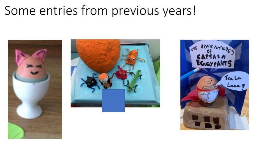 Hale Nursery & Primary Academy - Profile (2024)