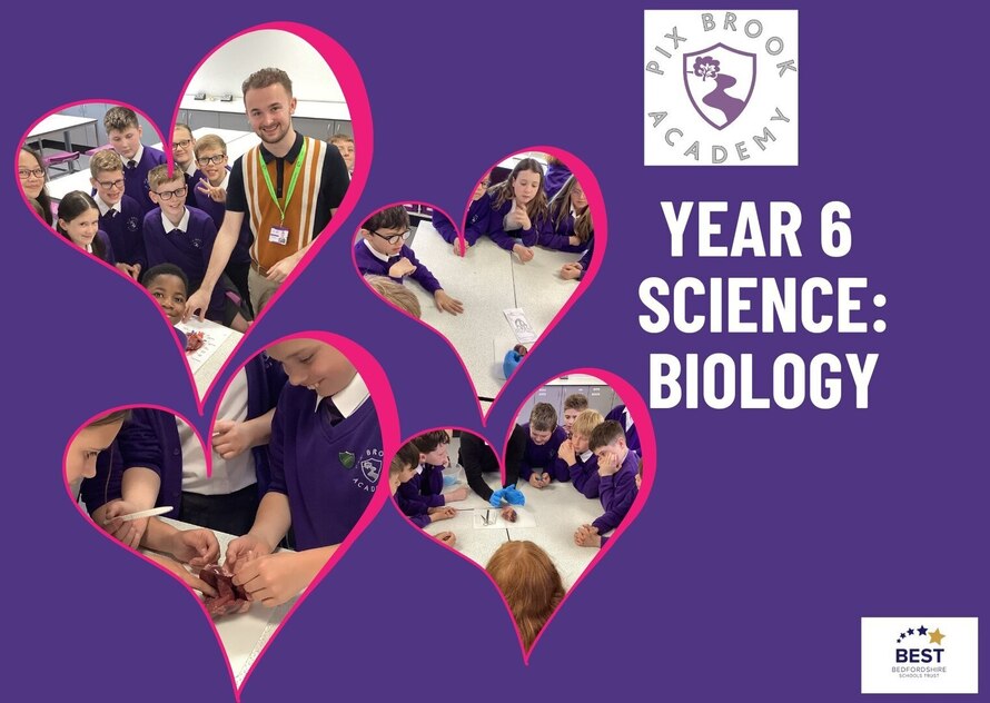 Pix Brook Academy - Profile (2023)