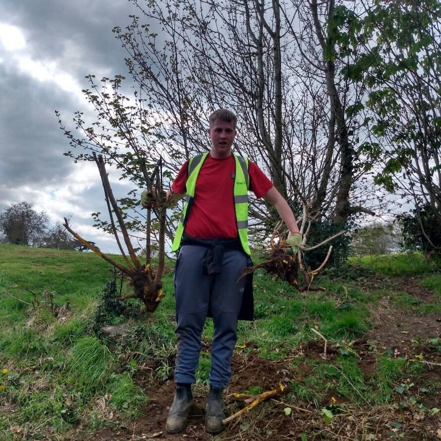 Grow 19 LTD - Profile (2024)