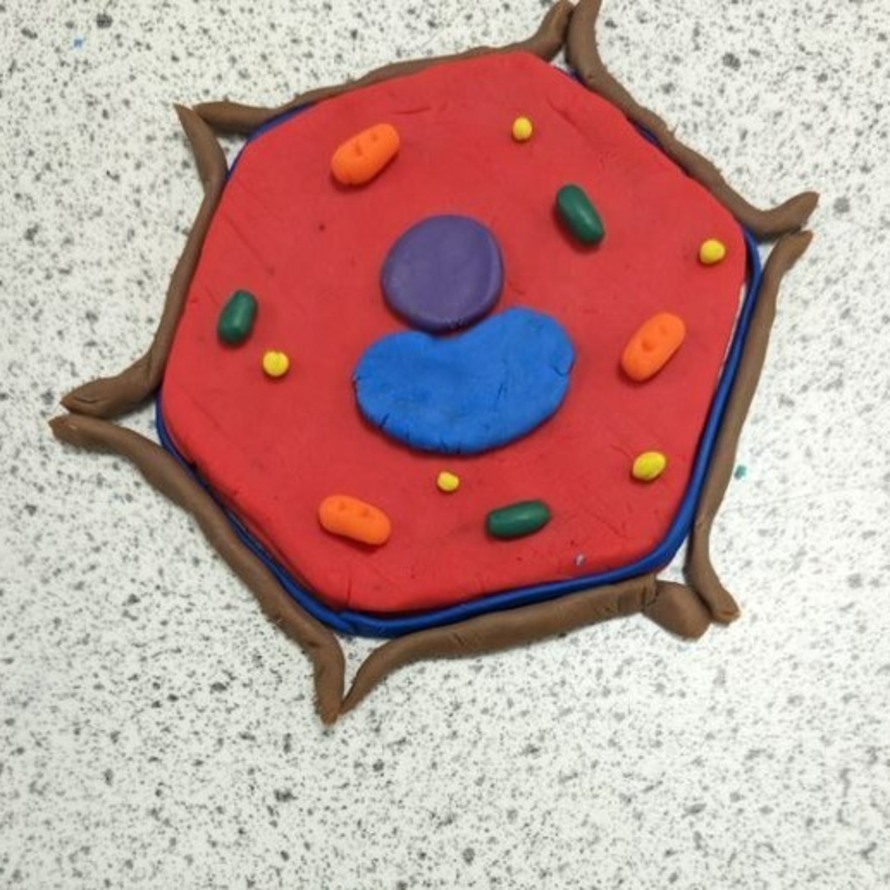 UTC Derby Pride Park - Profile (2023)