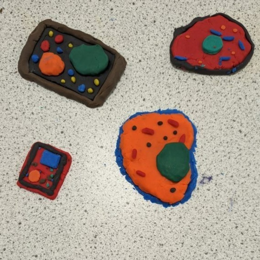 UTC Derby Pride Park - Profile (2023)