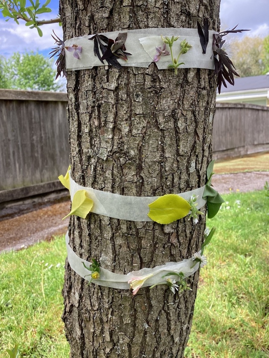 Finmere Church of England Primary School - Profile (2023)