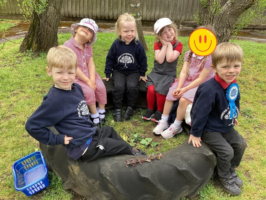 Finmere Church of England Primary School - Profile (2023)