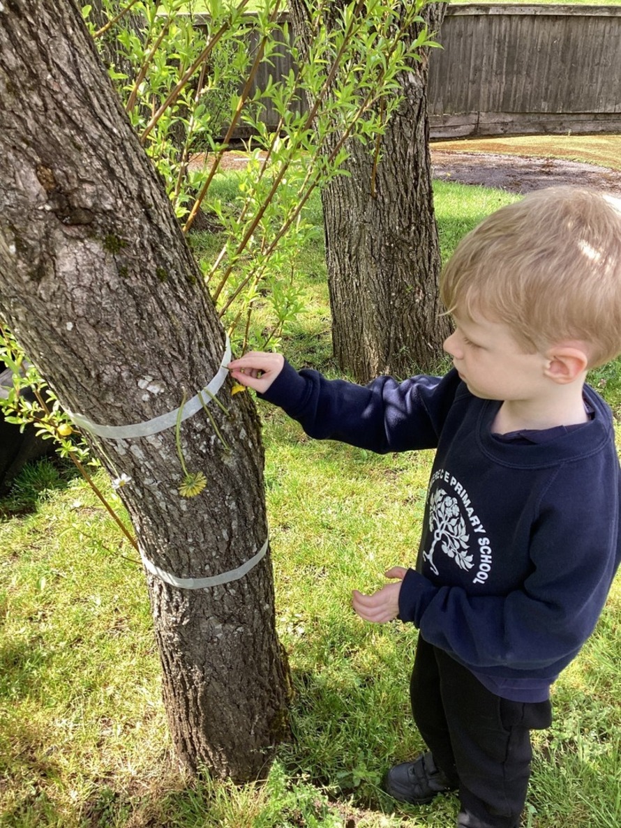 Finmere Church of England Primary School - Profile (2023)