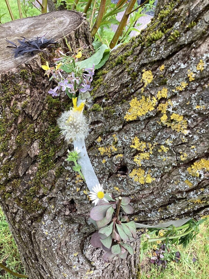 Finmere Church of England Primary School - Profile (2023)