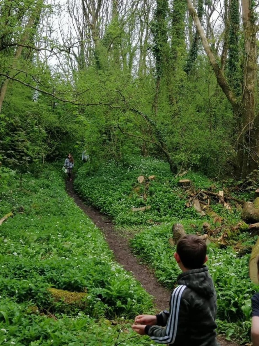 Cheddar First School - Profile (2023)