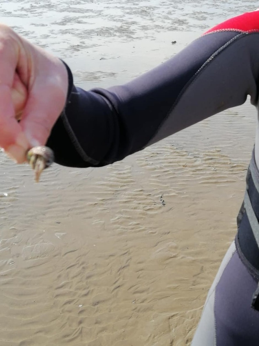 Cheddar First School - Profile (2023)