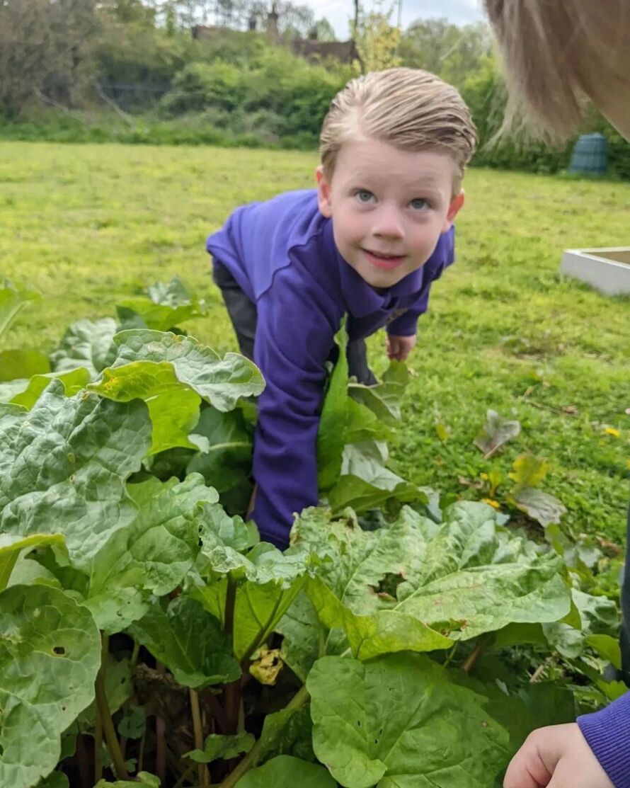 Stoneham Park Academy - Profile (2023)