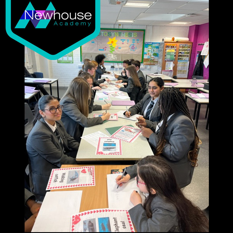 Newhouse Academy - Profile (2023)