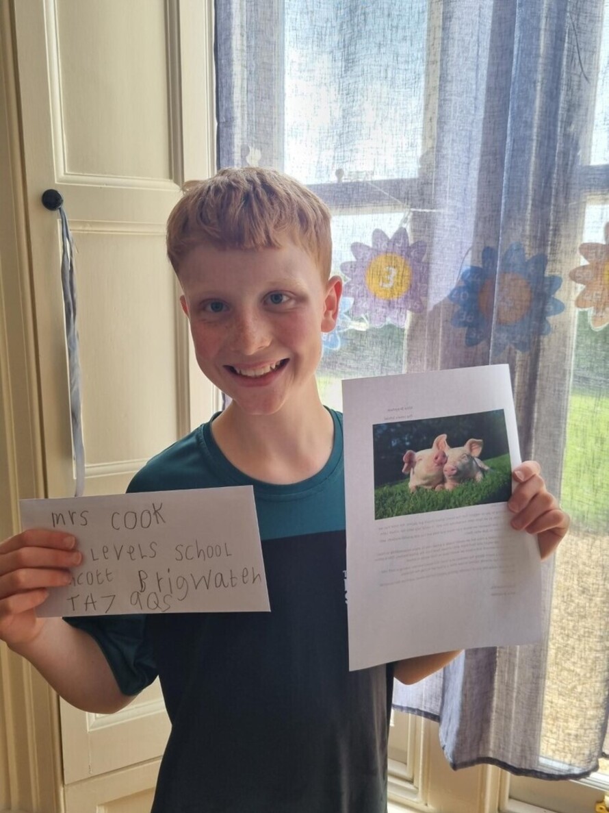 The Levels School - Profile (2023)