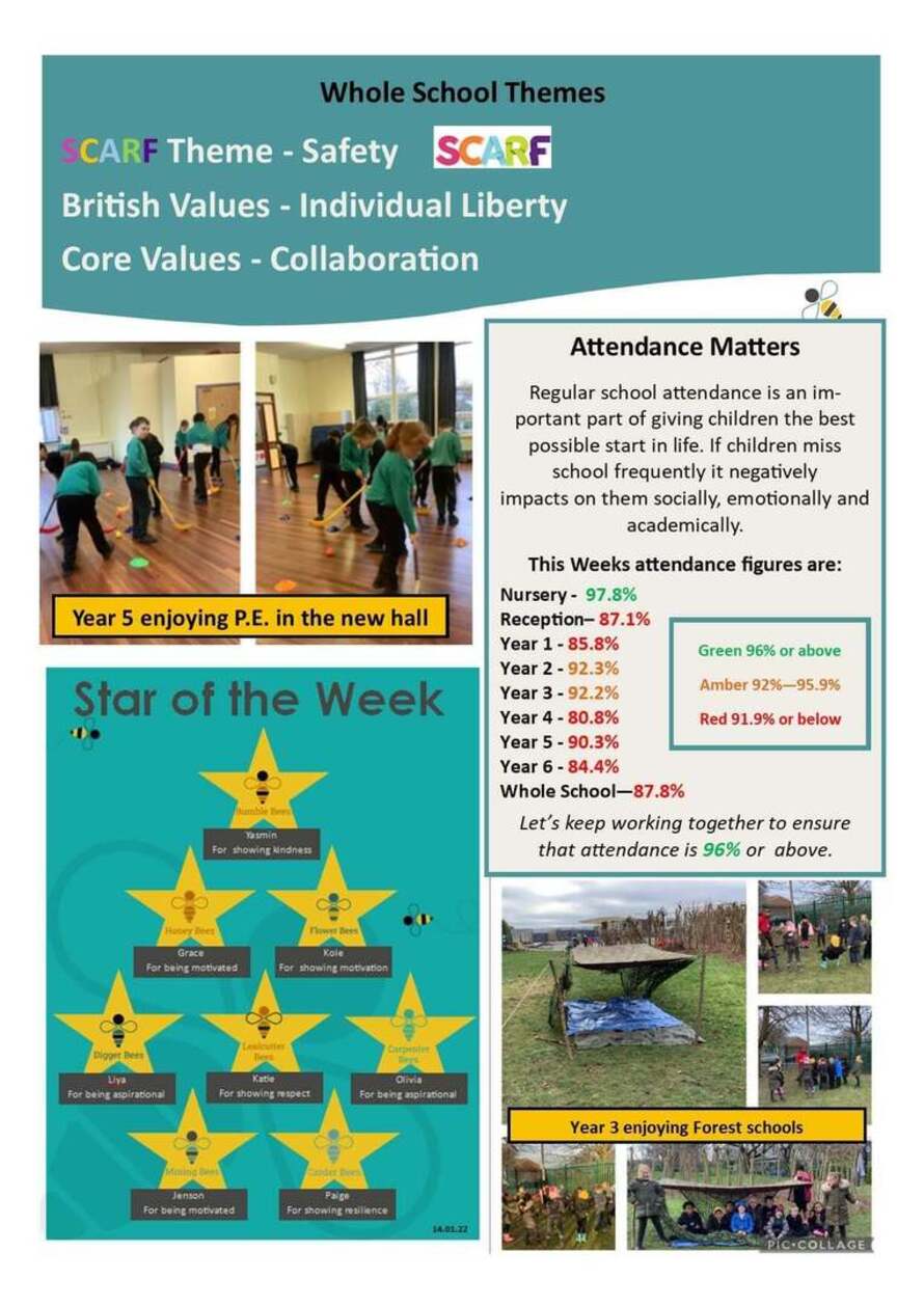 Hill View Academy Gallery: Photos of Campus Life, Activities, Classrooms