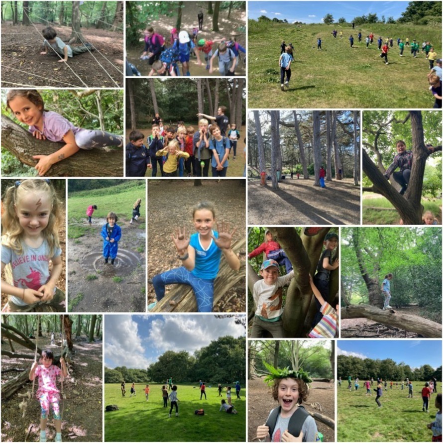 Wild Learning - Profile (2024)