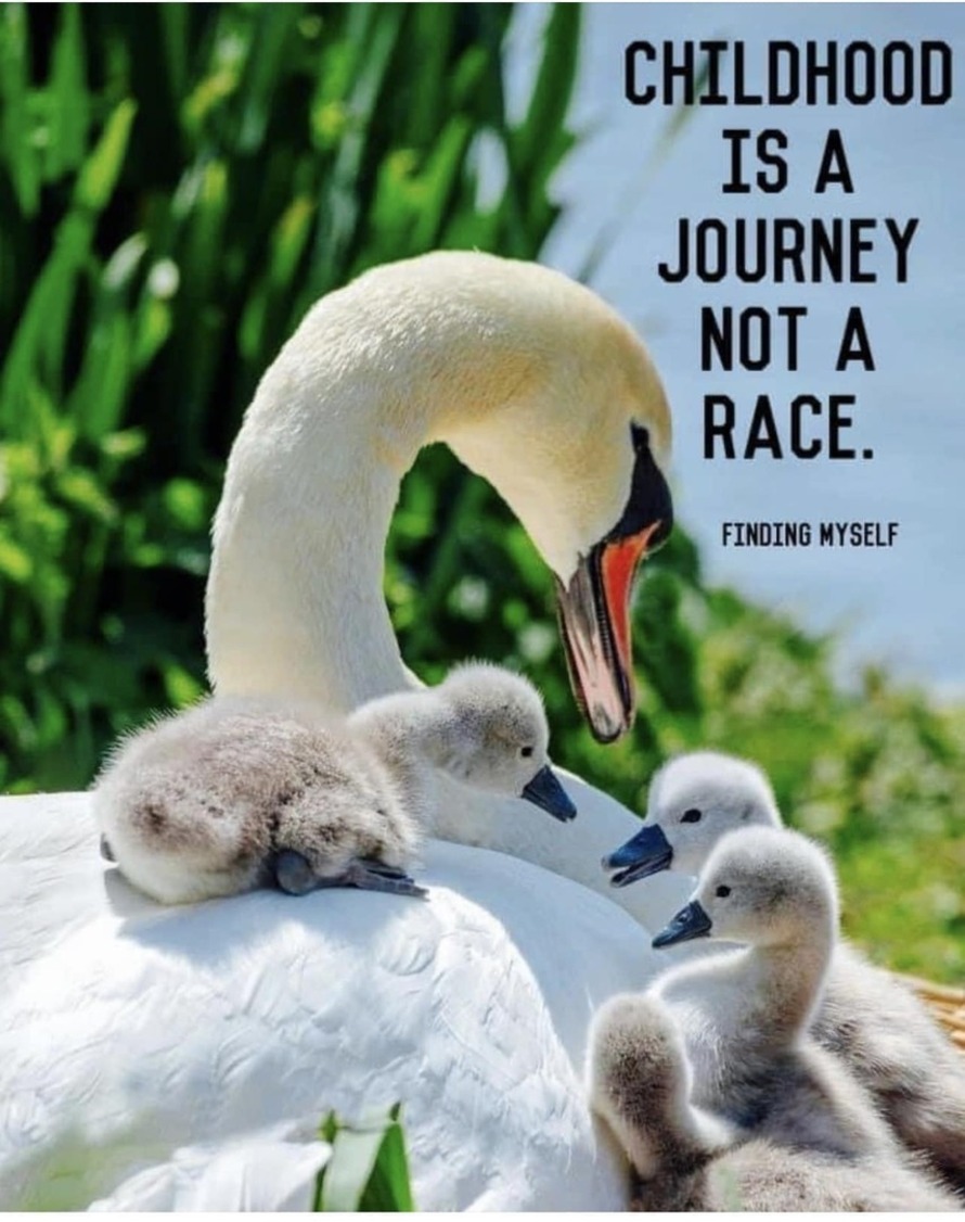 Learning Land Nursery - Profile (2023)