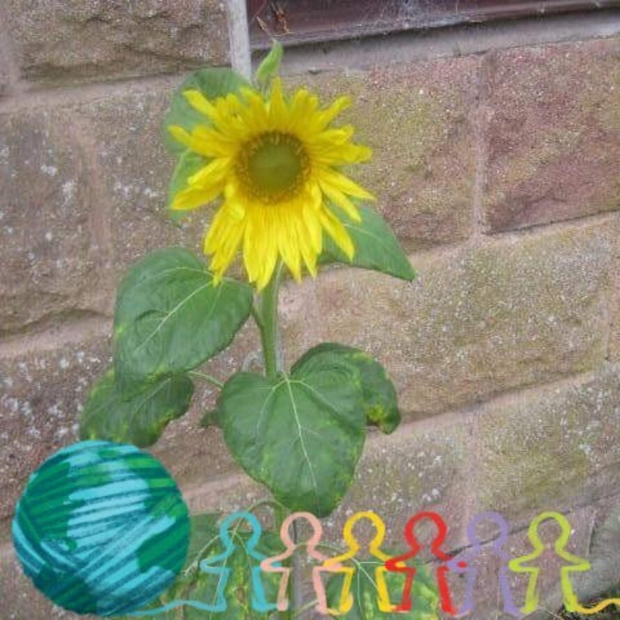 Cut and Paste Childcare Gallery: Photos of Campus Life, Activities ...