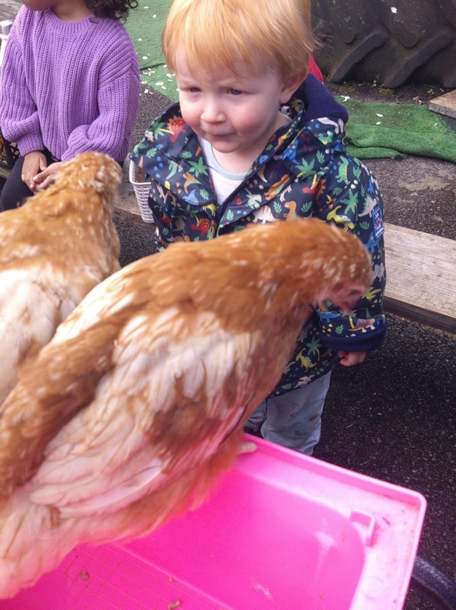 Best Schools in Godstone (2024)